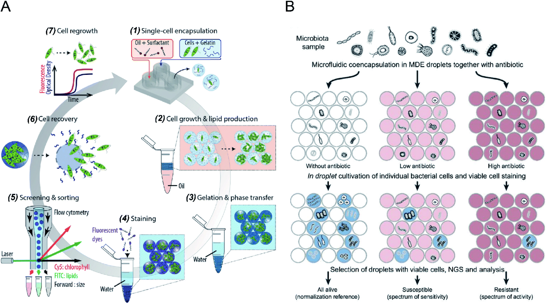 Droplet flow cytometry for single-cell analysis - RSC Advances (RSC ...