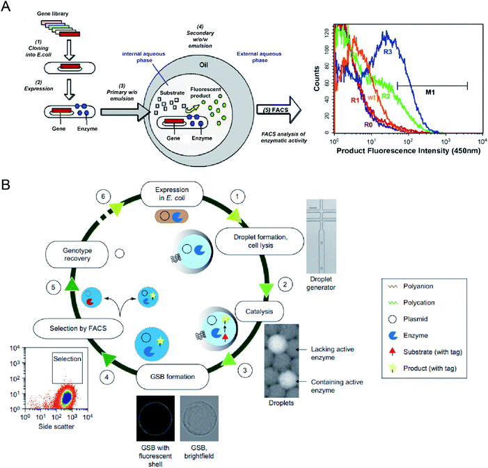 Droplet flow cytometry for single-cell analysis - RSC Advances (RSC ...