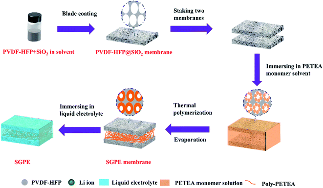 Self-shutdown function induced by sandwich-like gel polymer ...