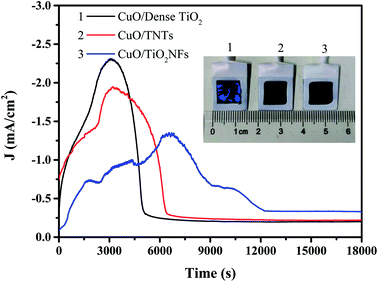 A comparative study of the effects of different TiO 2 supports toward ...