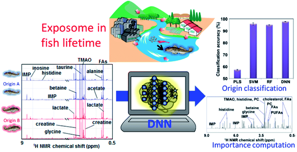 The exposome paradigm to predict environmental health in terms of ...