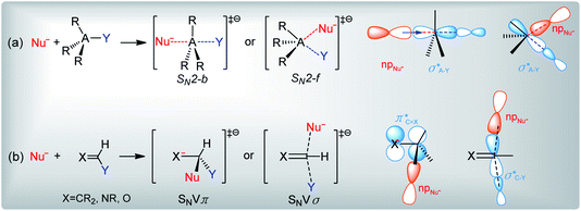 Insights into the nucleophilic substitution of pyridine at an ...