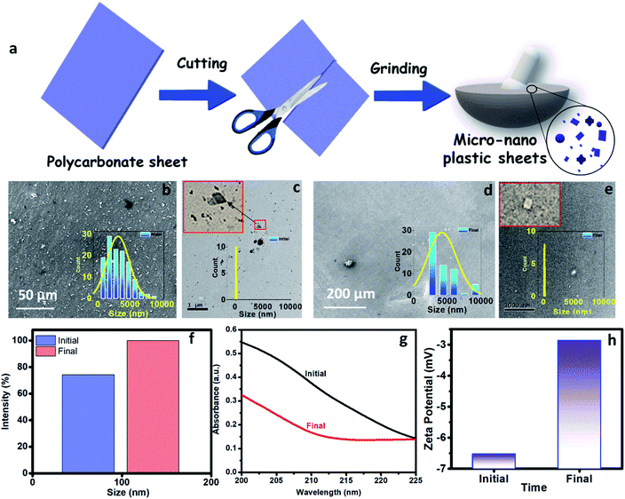 Development of a schwarzite-based moving bed 3D printed water treatment ...