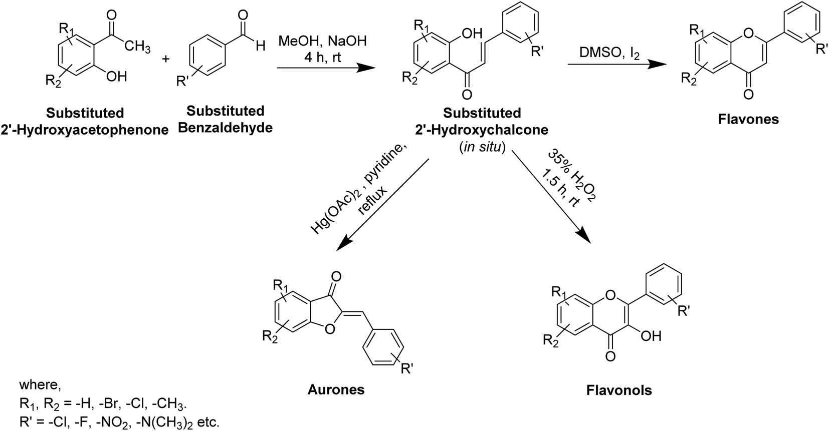 Natural and synthetic flavonoid derivatives as new potential tyrosinase ...