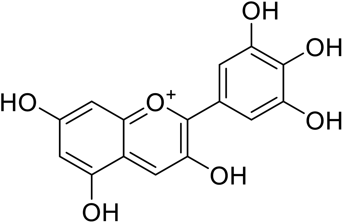Natural and synthetic flavonoid derivatives as new potential tyrosinase ...