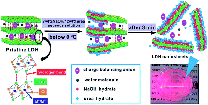 Preparation and application of layered double hydroxide nanosheets ...