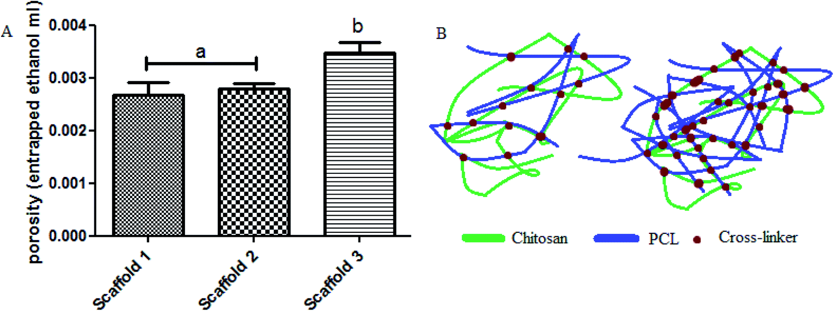 3D printed chitosan/polycaprolactone scaffold for lung tissue engineering: hope to be useful for ...