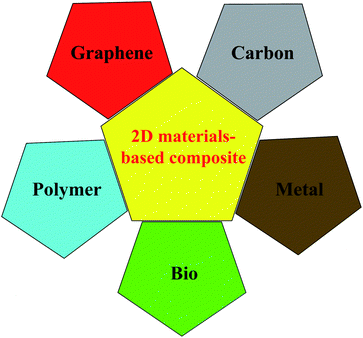 Representative 2D-material-based nanocomposites and their emerging ...