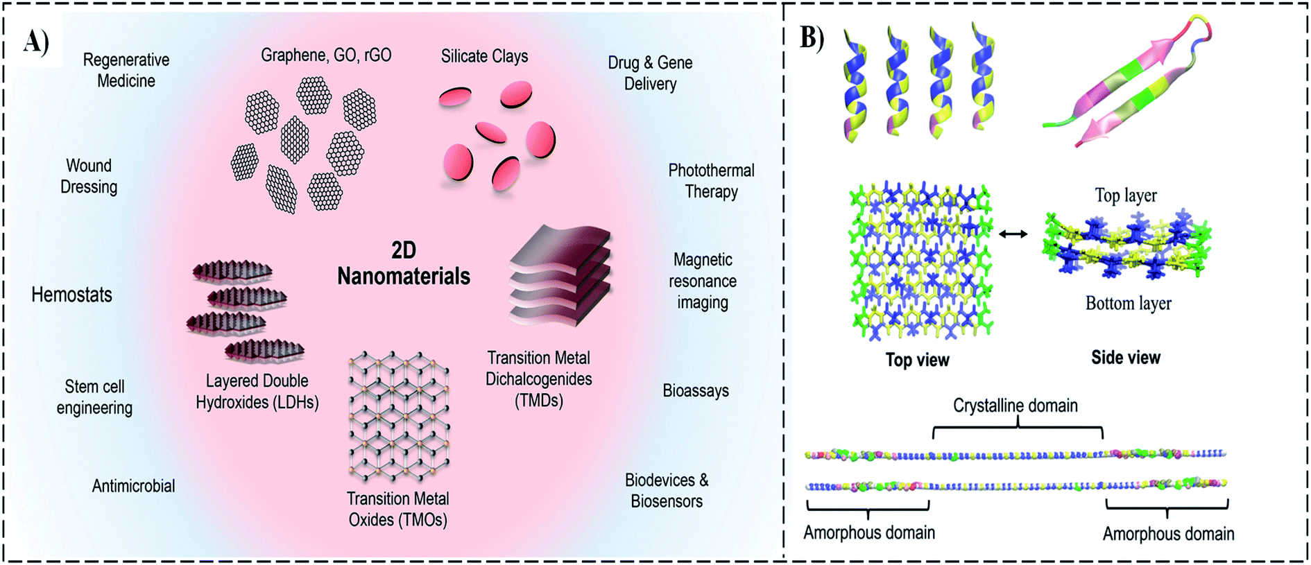 Representative 2D-material-based nanocomposites and their emerging ...
