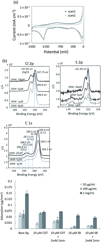 Organic and inorganic mixed phase modification of a silver surface for ...