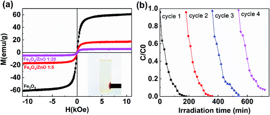 Rational design of magnetically separable core/shell Fe 3 O 4 /ZnO ...