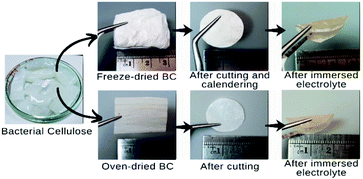 Preparation and characterization of nanofibrous cellulose as solid ...