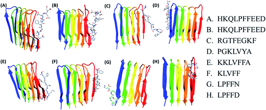 Destabilization potential of beta sheet breaker peptides on Abeta ...