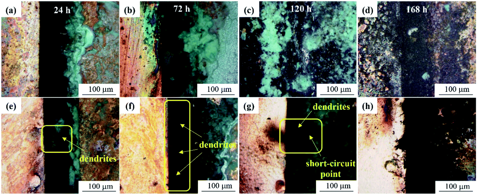 Electrochemical migration behavior of moldy printed circuit boards in a ...