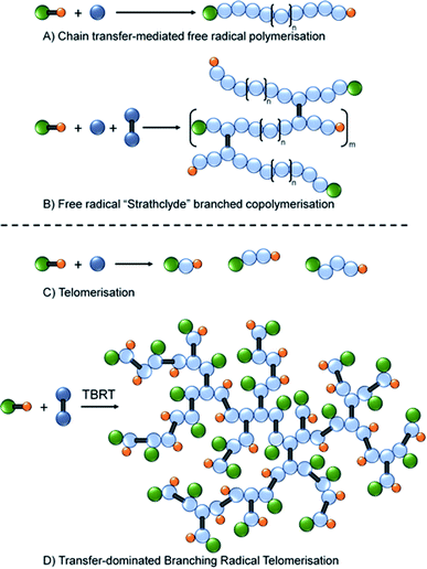 Quantification of branching within high molecular weight polymers with ...