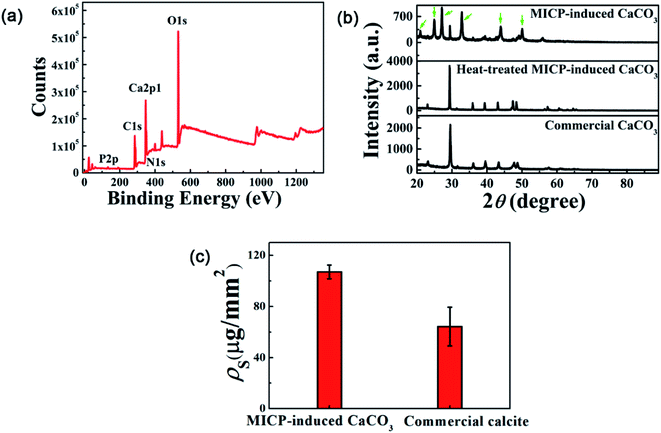 Fabrication of patterned calcium carbonate materials through template ...