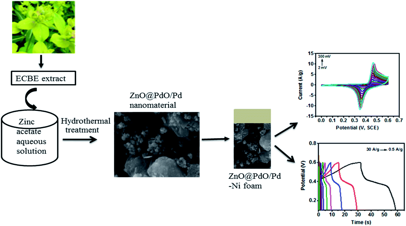 Facile ZnO-based nanomaterial and its fabrication as a supercapacitor ...