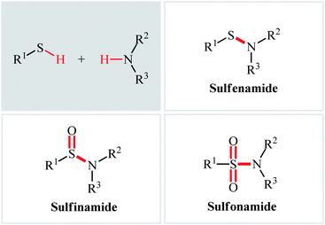 Direct synthesis of sulfenamides, sulfinamides, and sulfonamides from ...