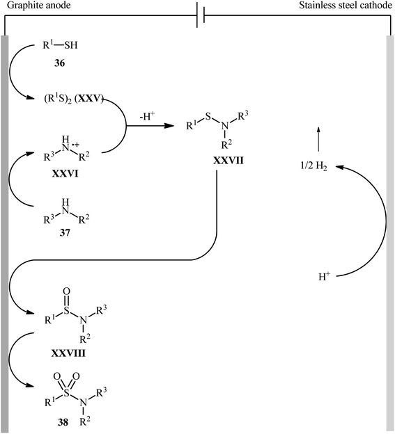 Direct synthesis of sulfenamides, sulfinamides, and sulfonamides from ...