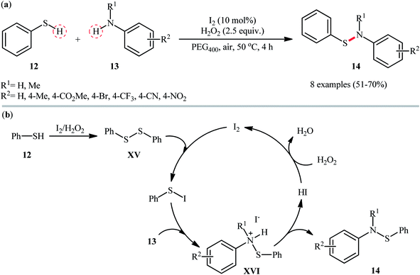 Direct synthesis of sulfenamides, sulfinamides, and sulfonamides from ...