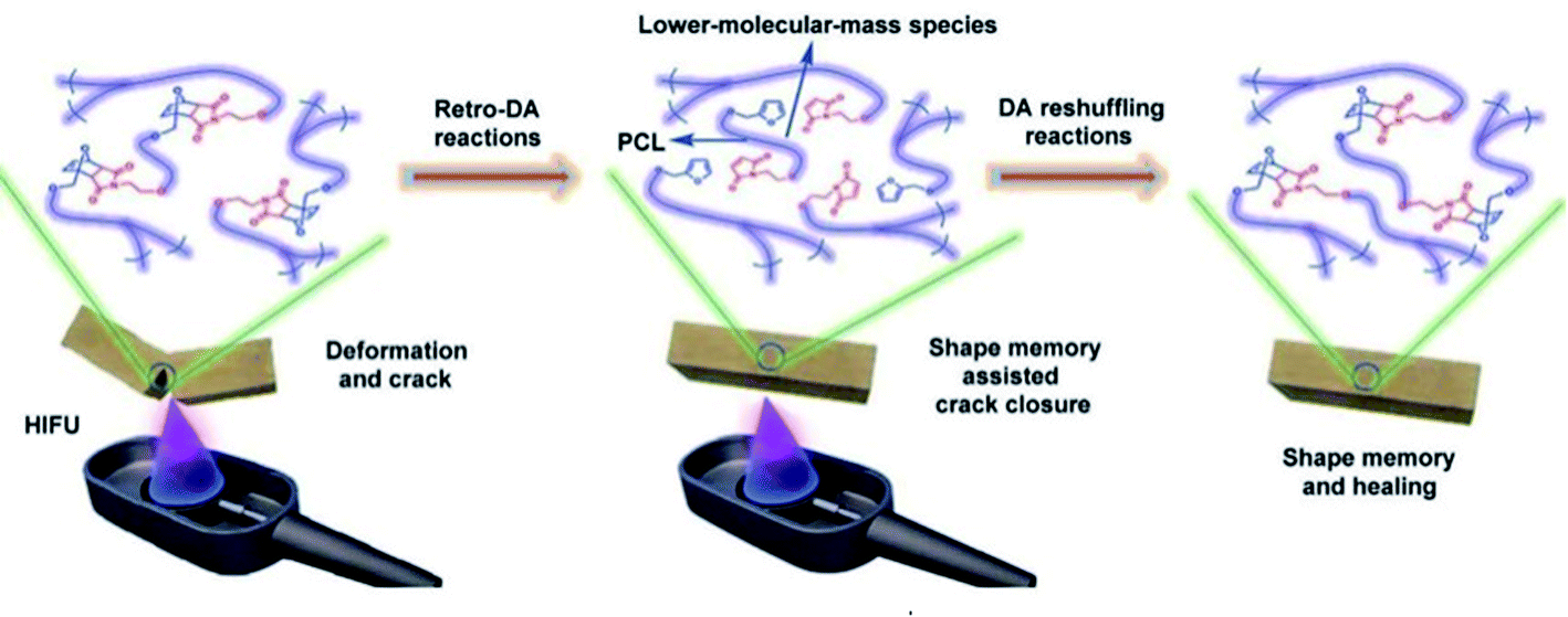 A review of shape memory polymers based on the intrinsic structures of ...