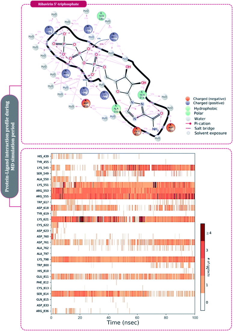Comparative assessment of RNA-dependent RNA polymerase (RdRp ...