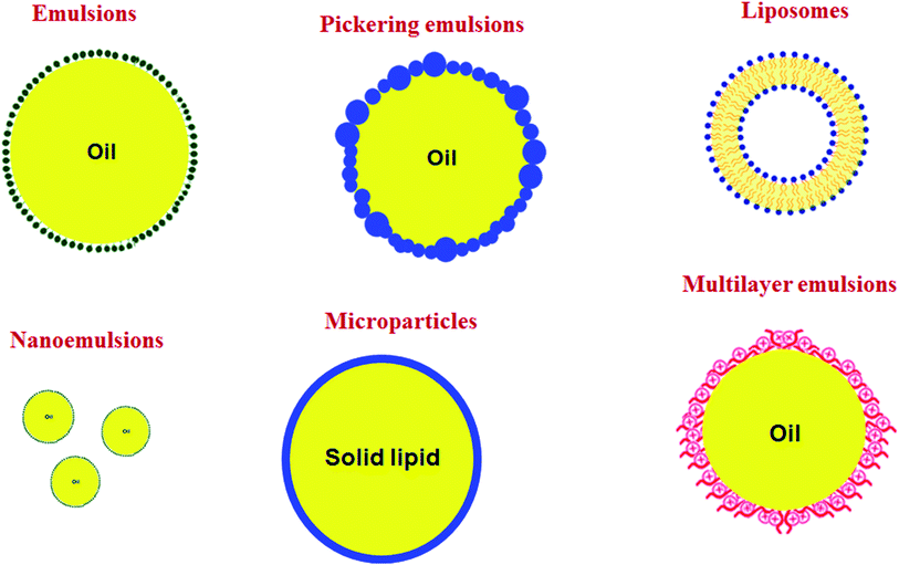 Advances in biopolymeric active films incorporated with emulsified ...