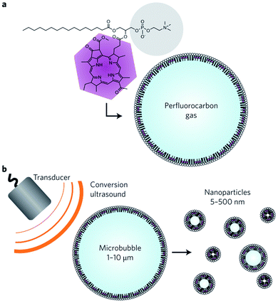 Biomedical nanobubbles and opportunities for microfluidics - RSC ...
