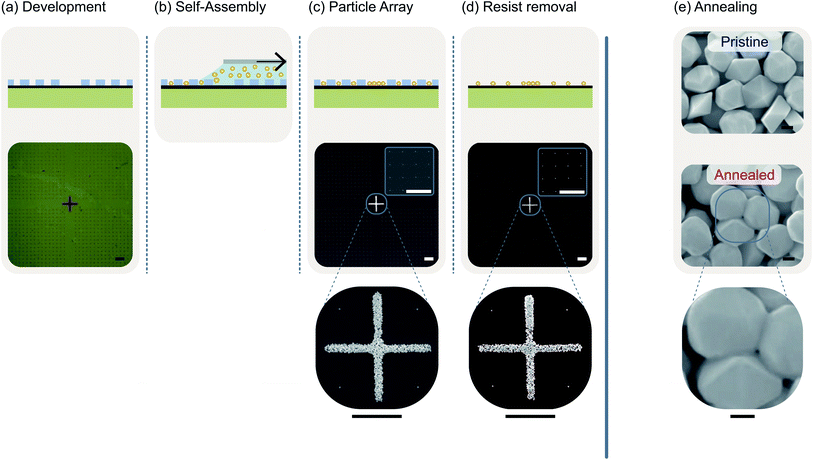 Patterning 2D materials for devices by mild lithography - RSC Advances ...