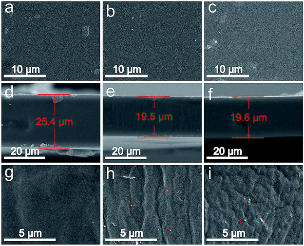 Ceria nanorods as highly stable free radical scavengers for highly ...