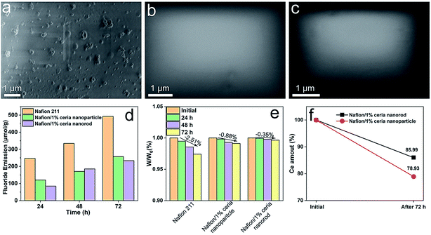 Ceria nanorods as highly stable free radical scavengers for highly ...