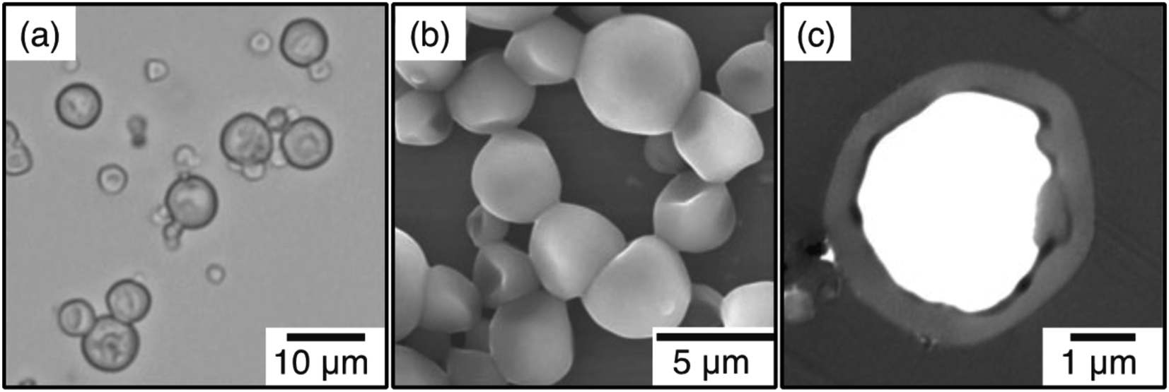 Engineering encapsulated ionic liquids for next-generation applications ...