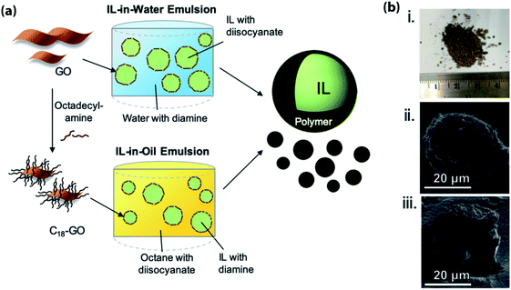 Engineering encapsulated ionic liquids for next-generation applications ...