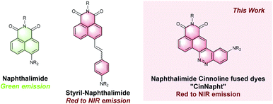 “CinNapht” dyes: a new cinnoline/naphthalimide fused hybrid fluorophore ...