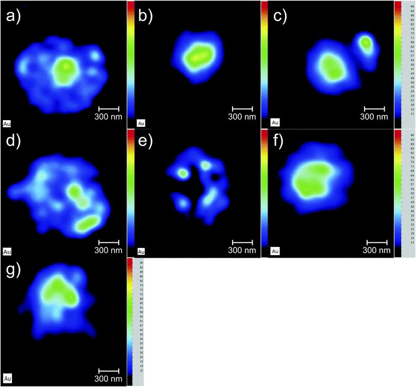 Benchtop X-ray fluorescence imaging as a tool to study gold ...