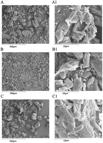 Cellulose citrate: a convenient and reusable bio-adsorbent for ...