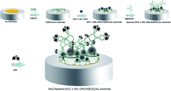 d -Penicillamine functionalized dendritic fibrous nanosilica (DFNS-DPA ...