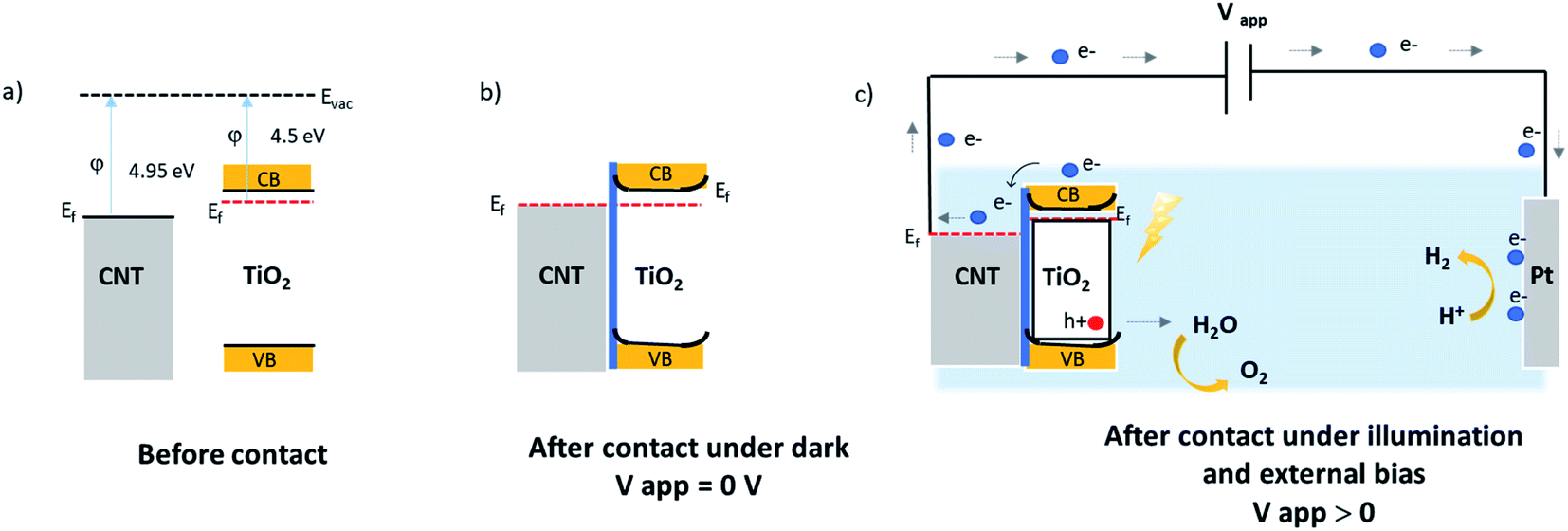CNT–TiO 2 core–shell structure: synthesis and photoelectrochemical ...