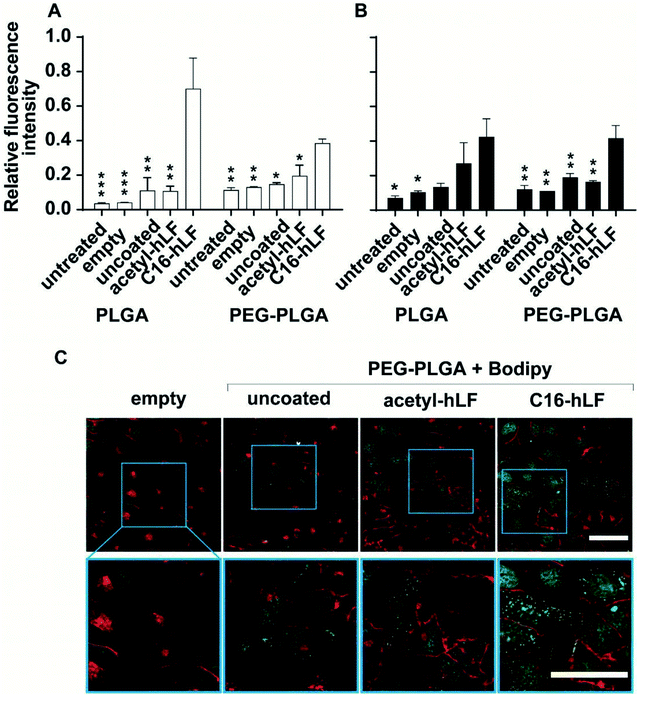 A comparison of acyl-moieties for noncovalent functionalization of PLGA ...