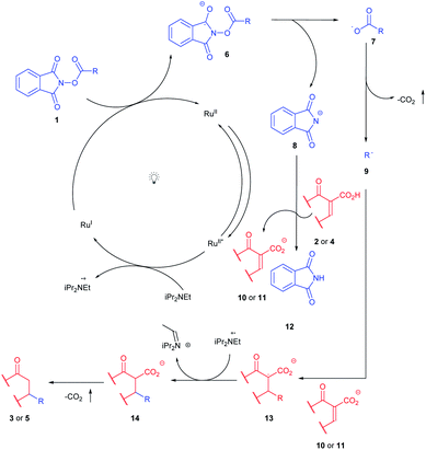 Visible-light synthesis of 4-substituted-chroman-2-ones and 2 ...