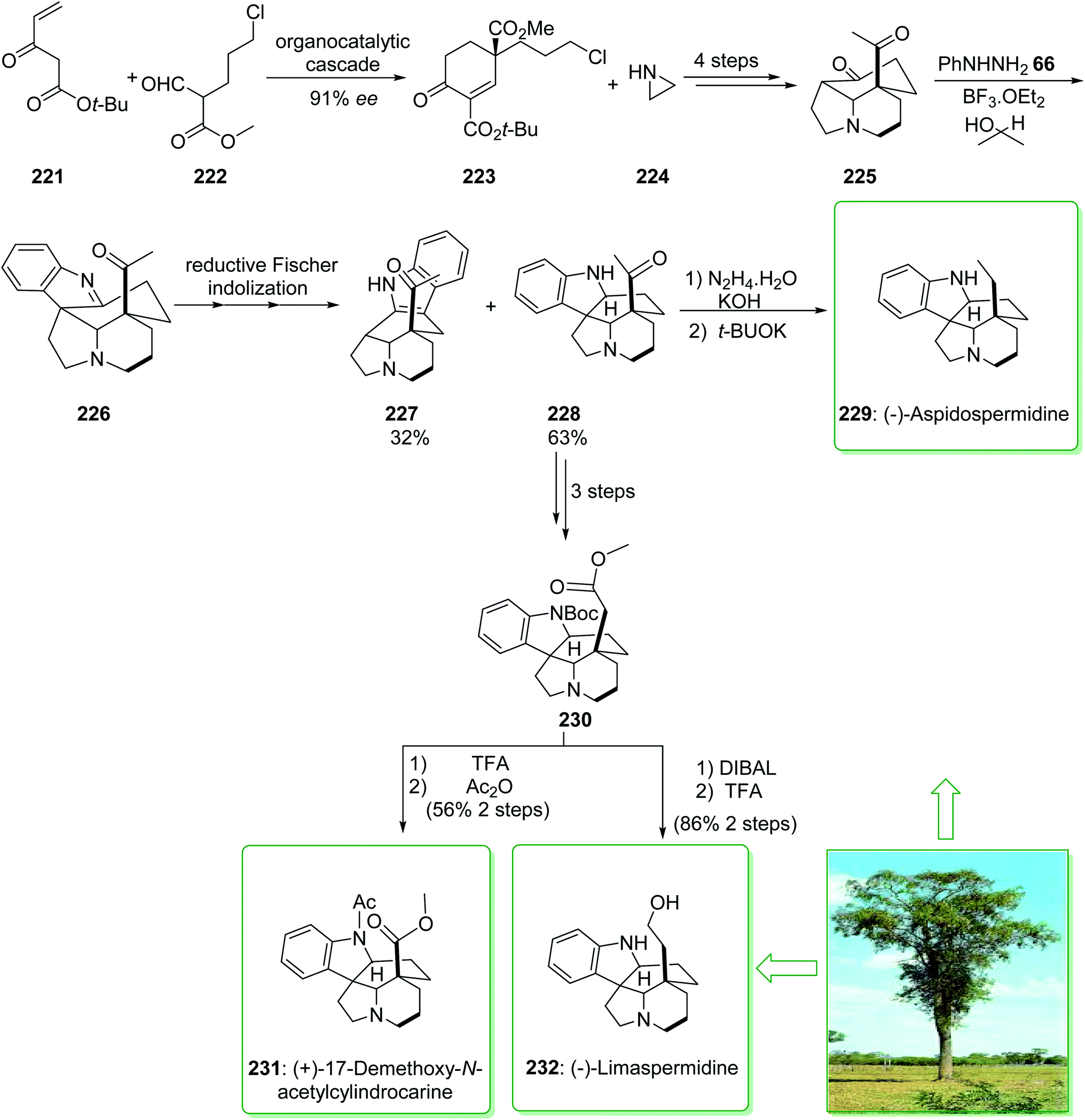 Synthesis of indole derivatives as prevalent moieties present in ...
