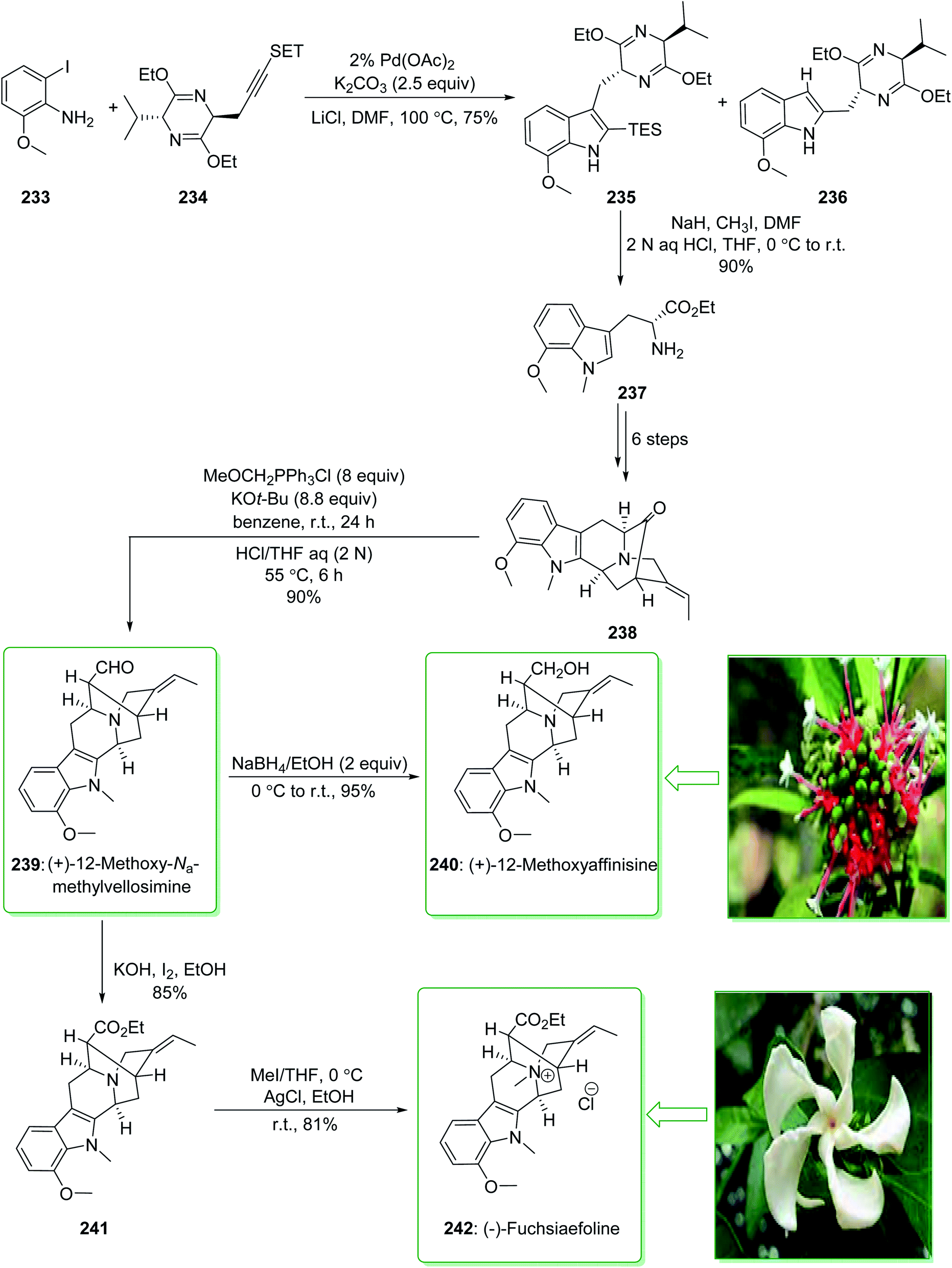 Synthesis of indole derivatives as prevalent moieties present in ...