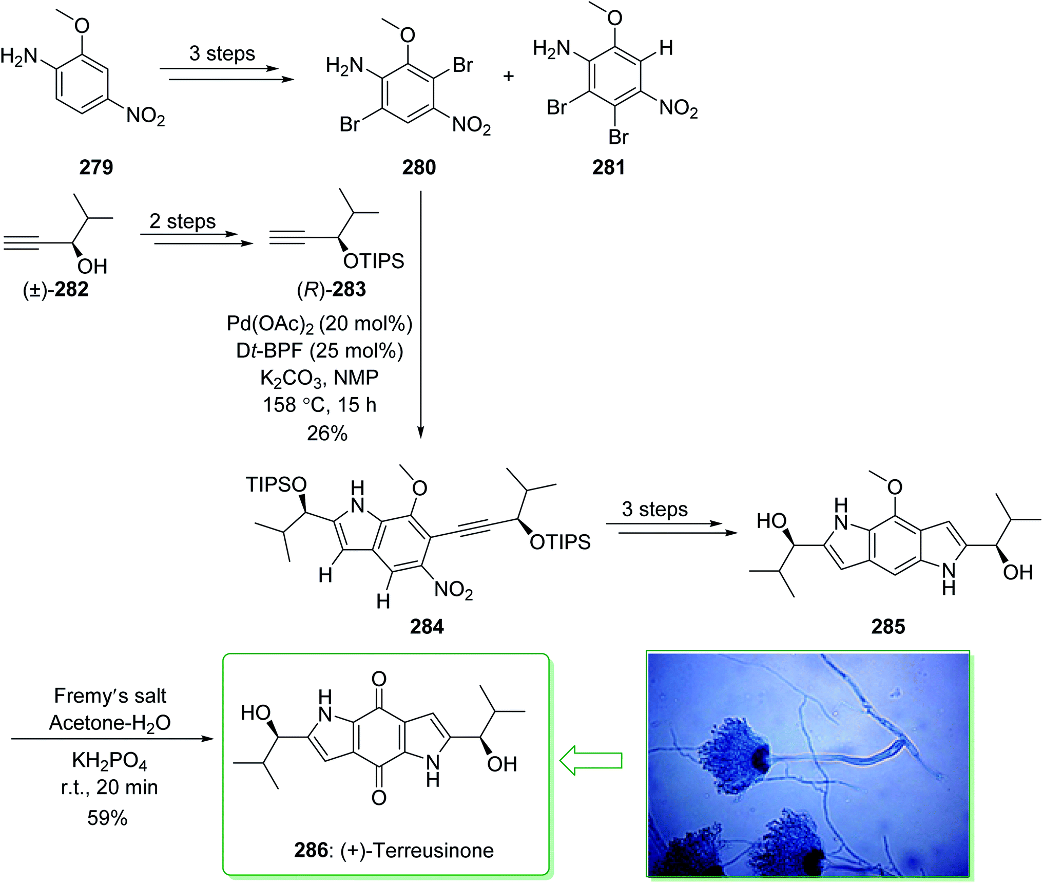Synthesis of indole derivatives as prevalent moieties present in ...