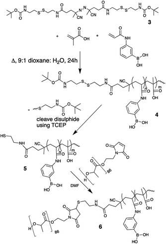 Block copolymer synthesis using free-radical polymerization and thiol ...