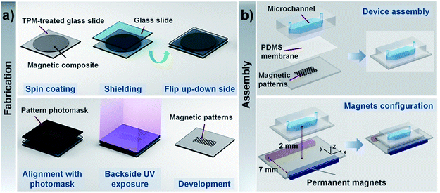 Microscale magnetic field modulation using rapidly patterned soft ...