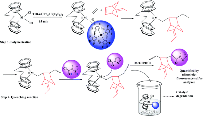 Rapid kinetic evaluation of homogeneous single-site metallocene ...