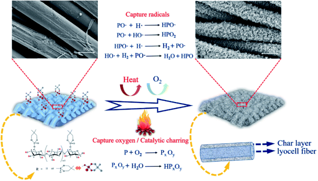 Enhancing the flame retardancy of lyocell fabric finished with an ...