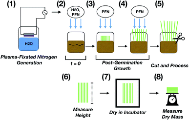 Plasma-fixated nitrogen as fertilizer for turf grass - RSC Advances ...