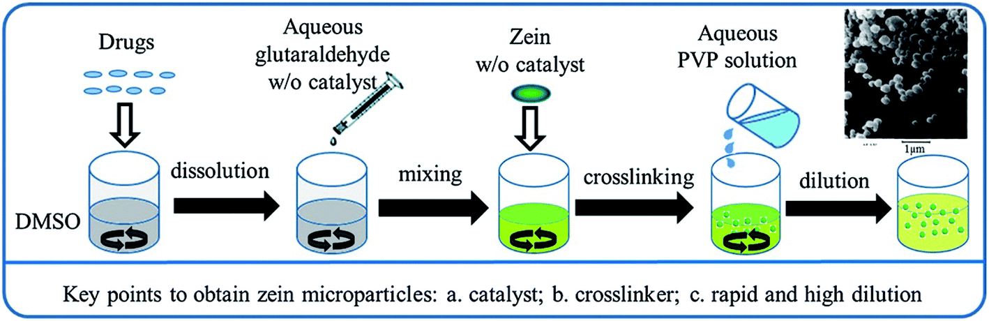 Zein as a versatile biopolymer: different shapes for different ...