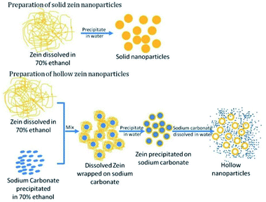 Zein as a versatile biopolymer: different shapes for different ...